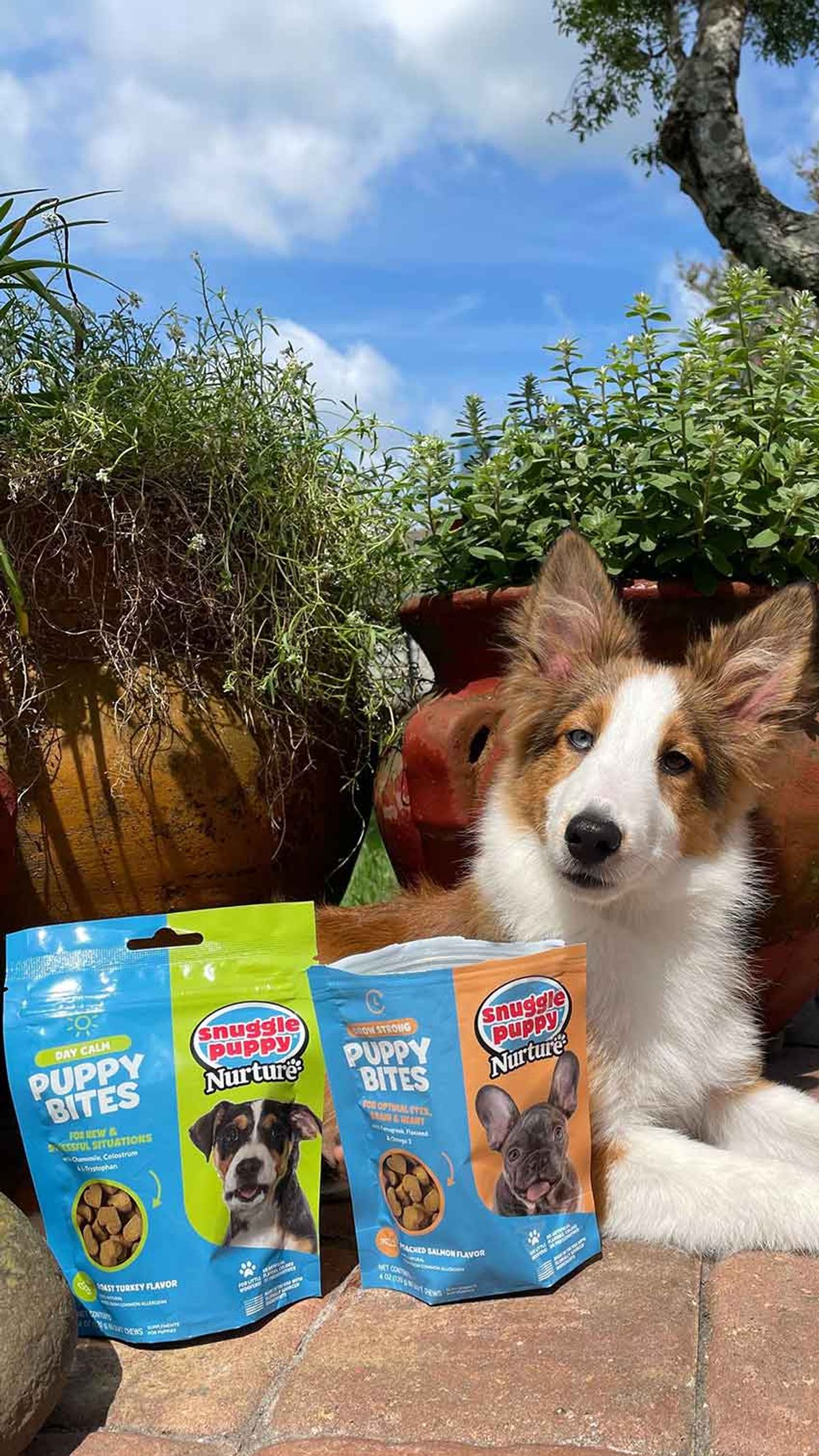 Snuggle Puppy® Heartbeat Stuffed Toy for Pet Anxiety Relief