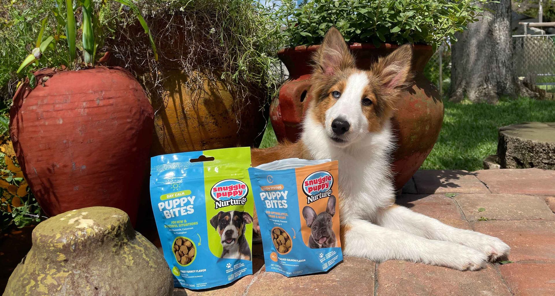 Snuggle Puppy® Heartbeat Stuffed Toy for Pet Anxiety Relief